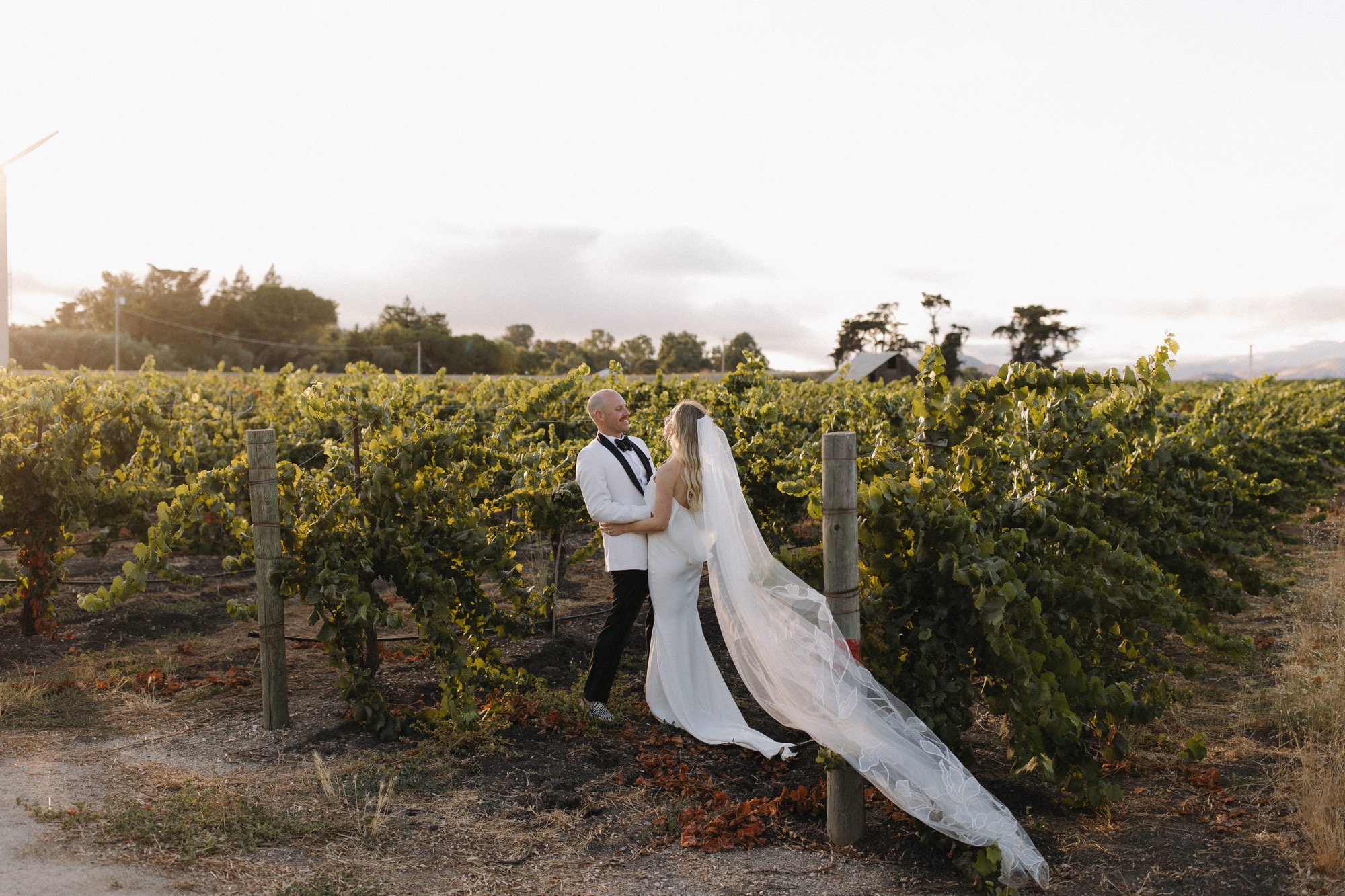 Biddle Ranch Vineyard Wedding