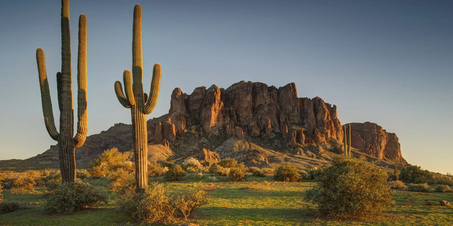 The Ultimate Guide to Eloping in Phoenix, Arizona