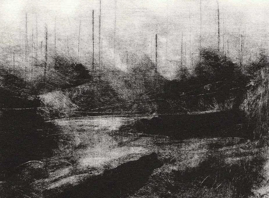 Scapes — Emma Fitzpatrick