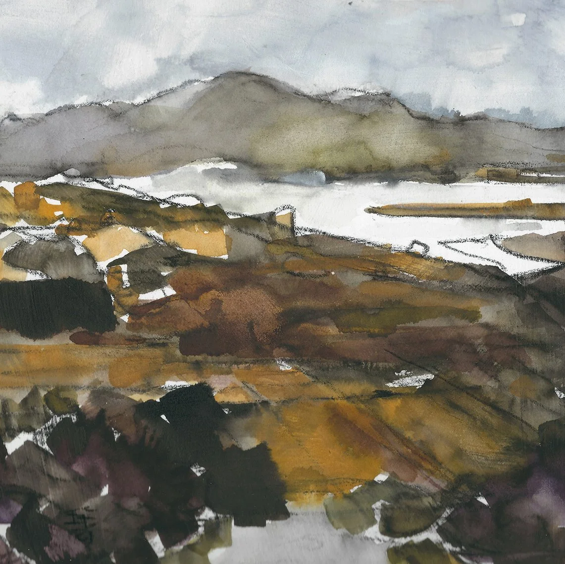 Kerry Paintings - Studies — Emma Fitzpatrick