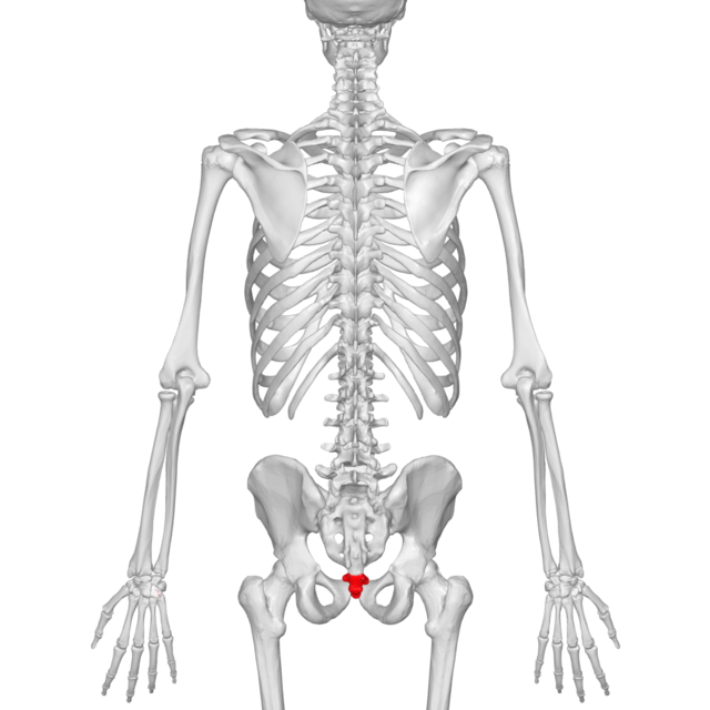 Projects — The Dark Matter Project