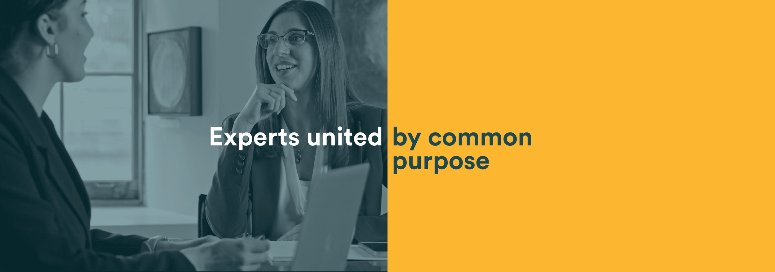 Experts united by common purpose — Compass Rose