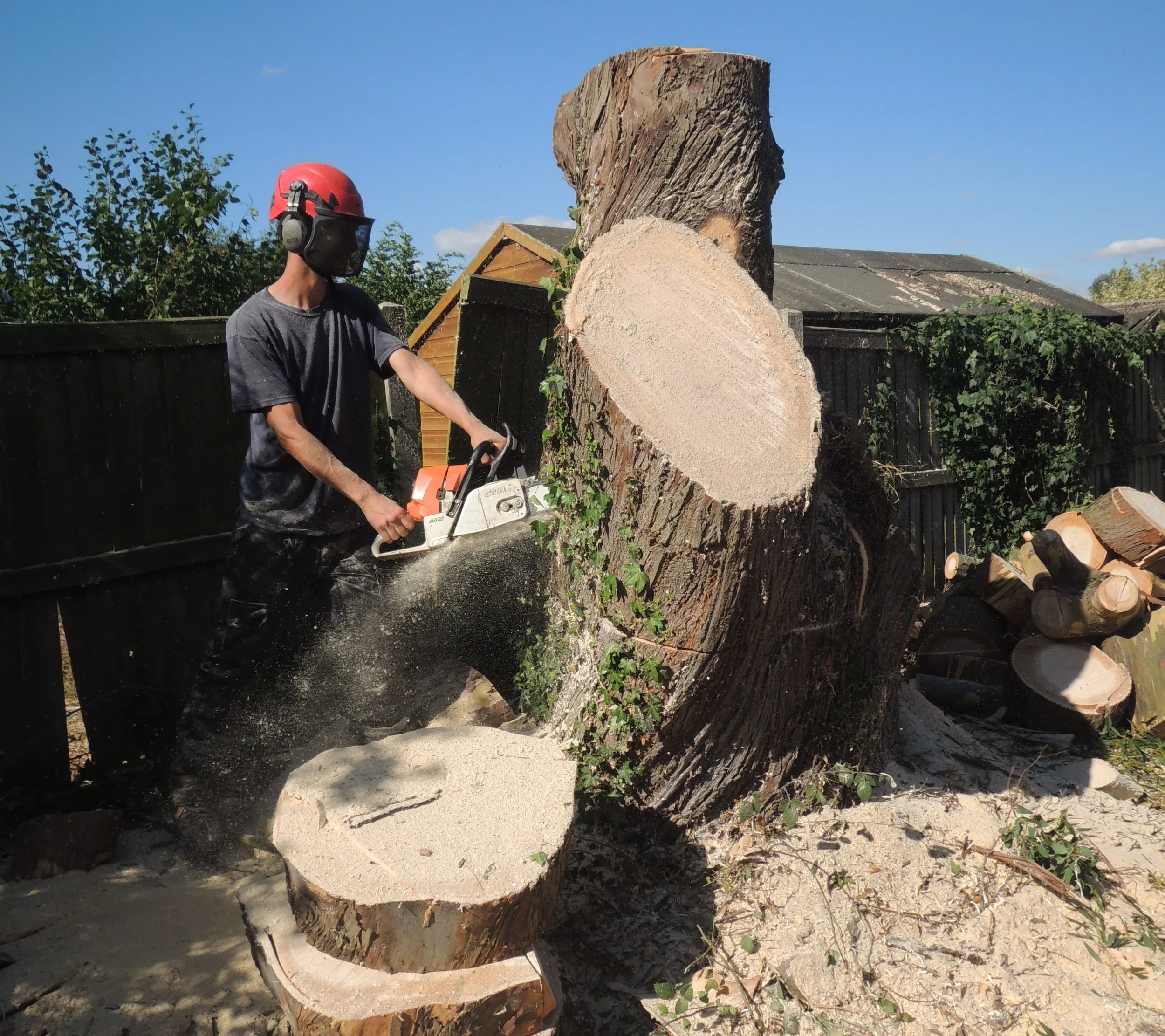 Contact Us — Tendring Tree Surgery