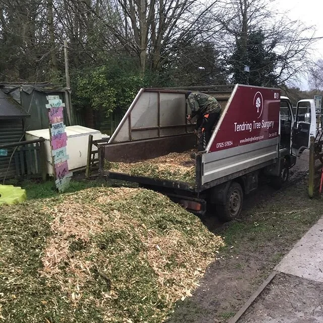 Tendring Tree Surgery