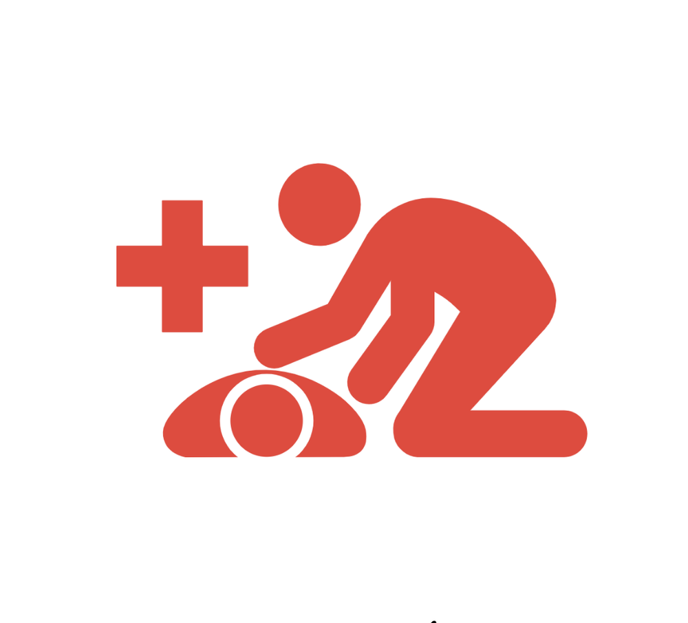 QUESTIONS TO ASK BEFORE GOING TO THE FIELD — The IFRC Guide to a Safer ...