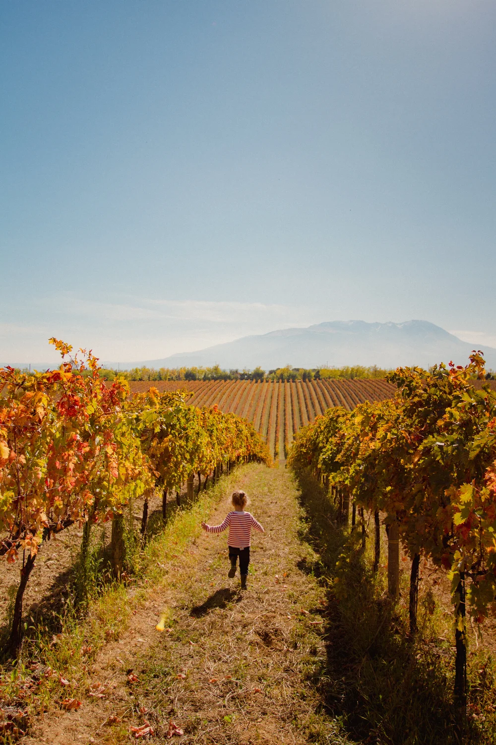 De Fermo wine makers — Allegra Pomilio