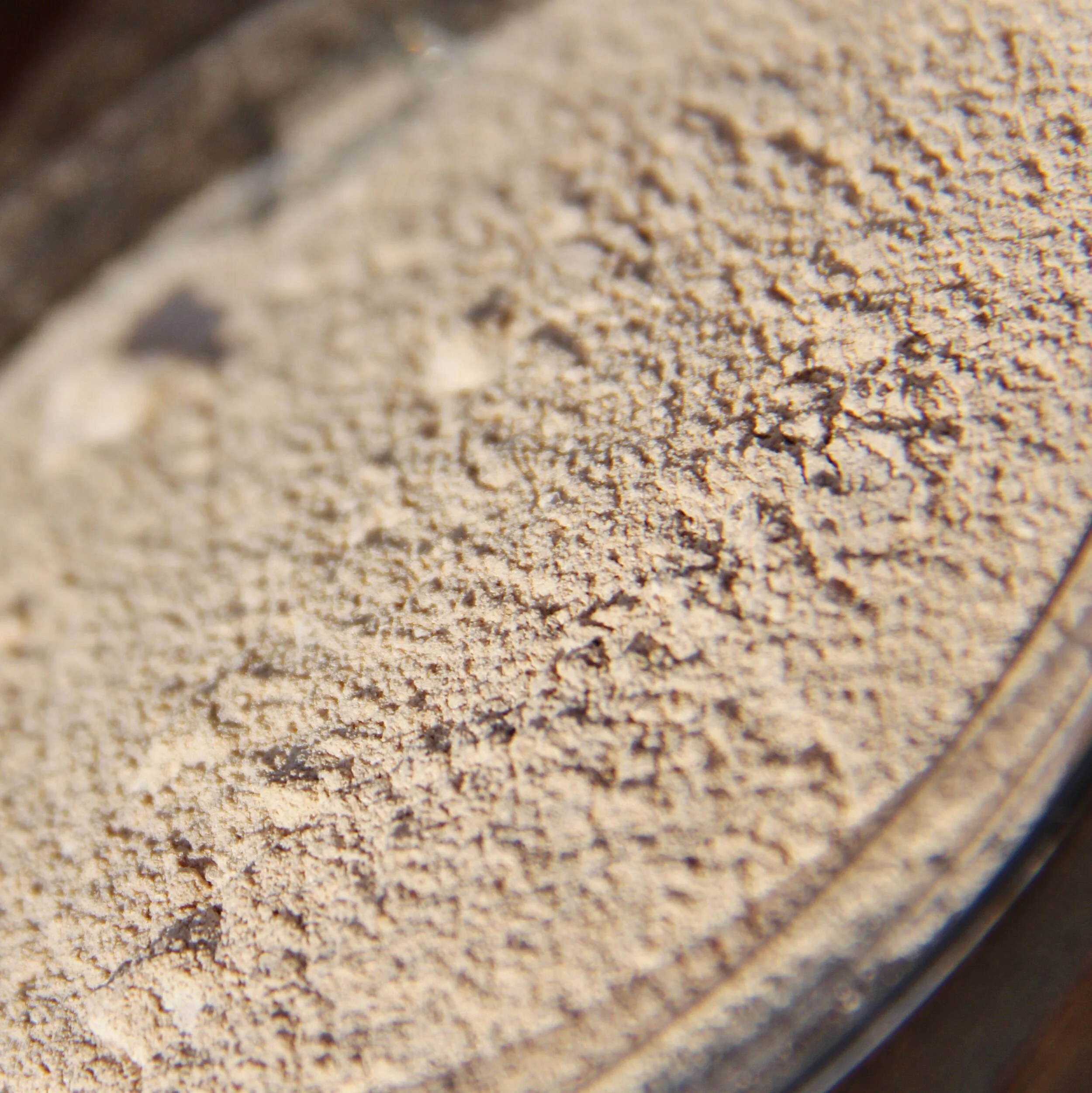 PECTCOF — Circular Conversations