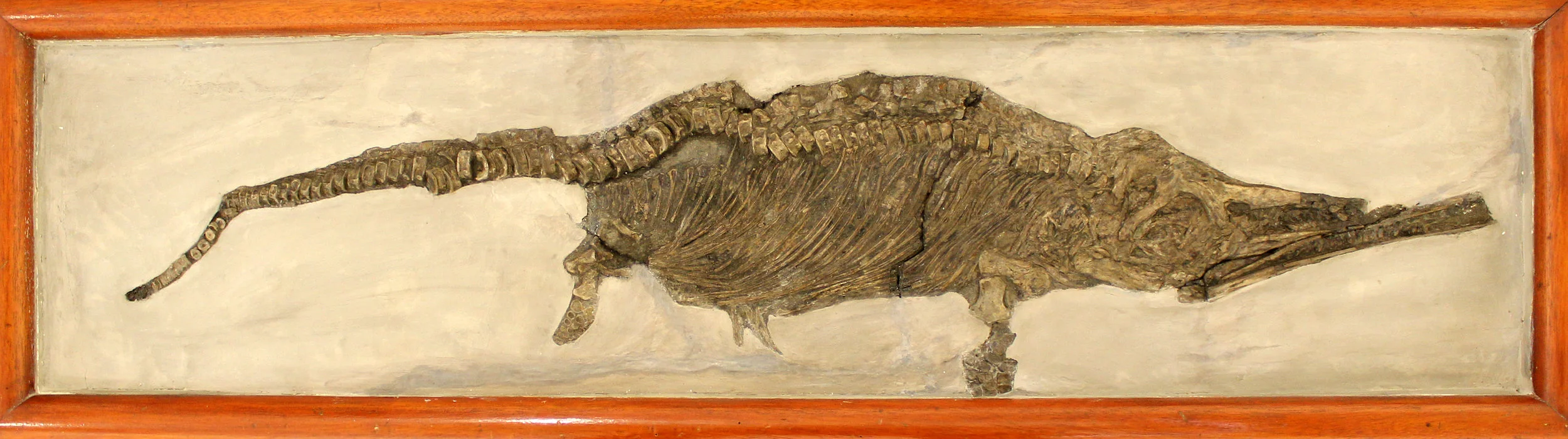 Objects from the Collection — Museum in the Park