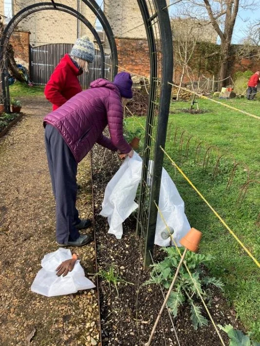 Walled Garden Volunteers' Blog March 2024 — Museum in the Park