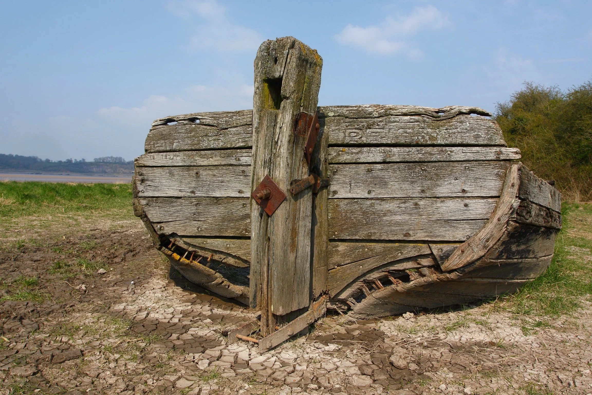 What's On Calendar — Museum in the Park