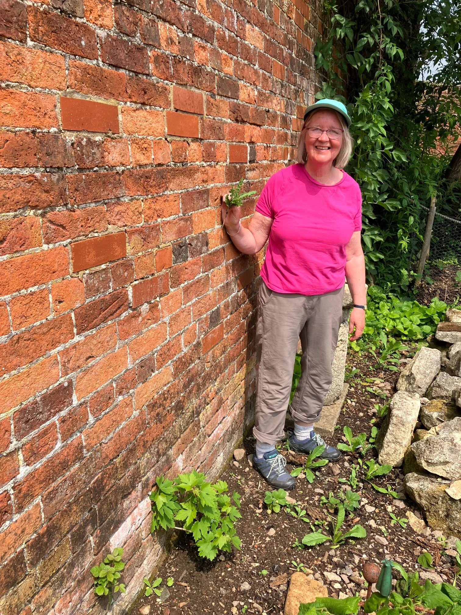 Walled Garden Volunteers' Blog June 2023 — Museum in the Park