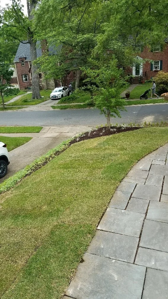 Gallery — Greentech Landscape Management