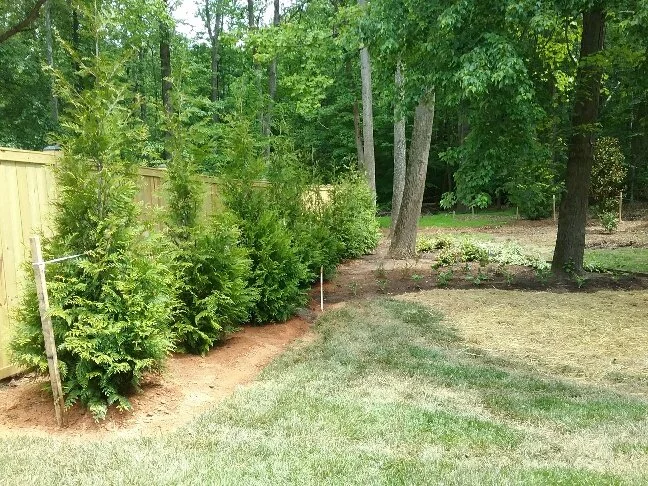 Gallery — Greentech Landscape Management