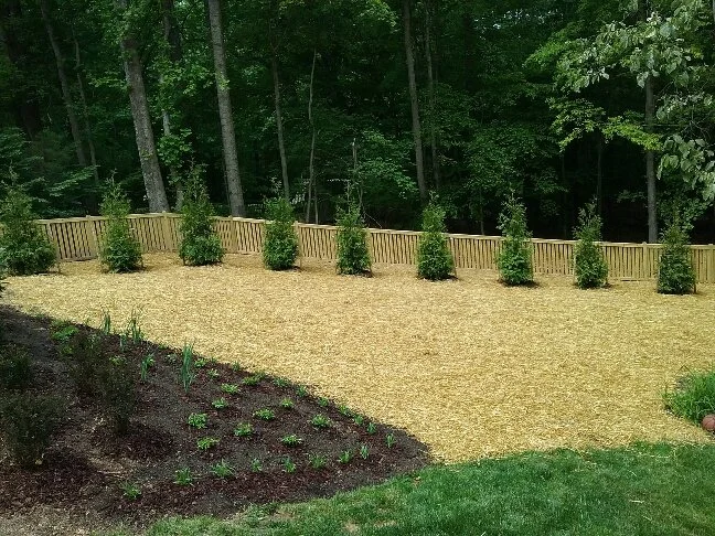 Gallery — Greentech Landscape Management