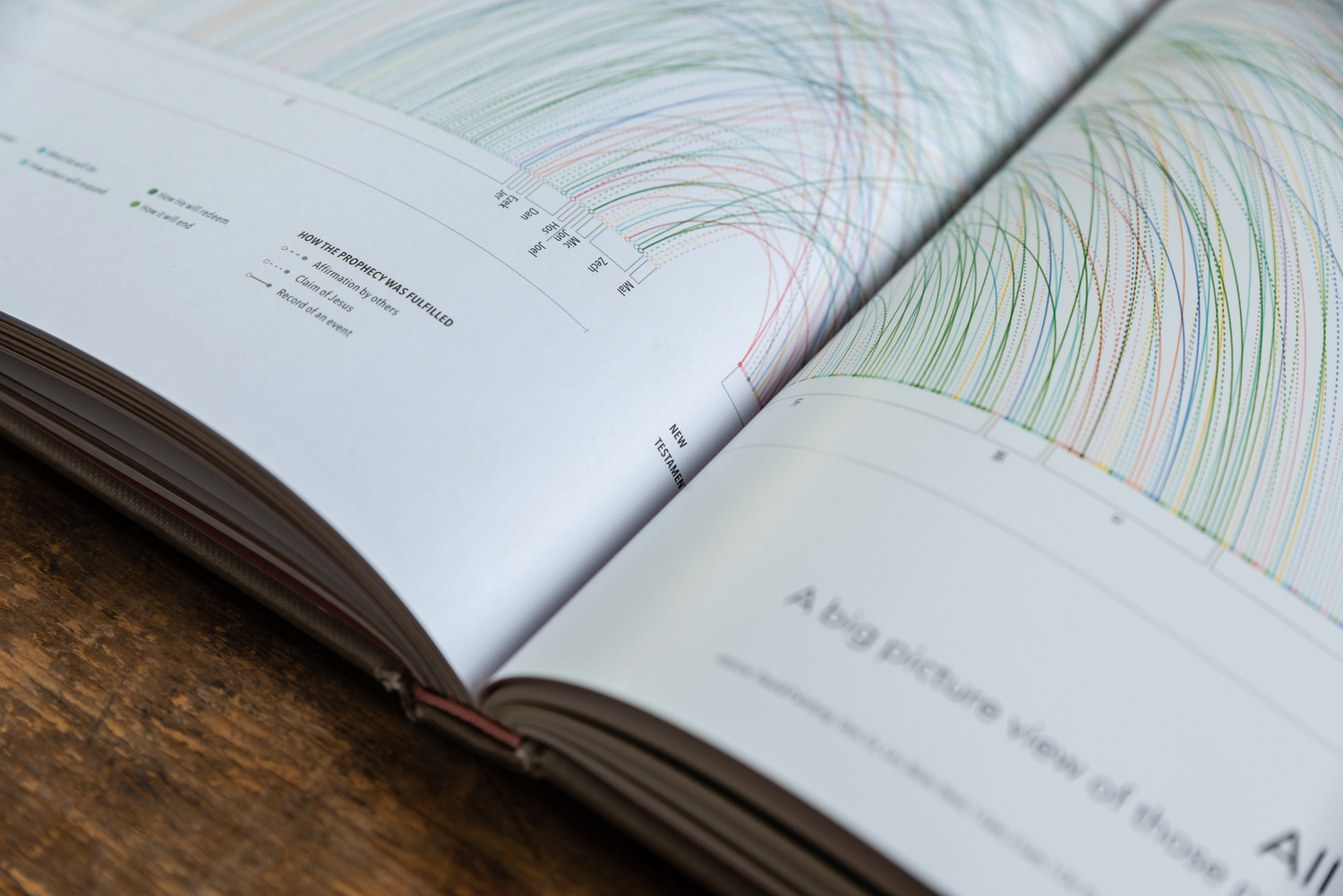 All Prophecies about Jesus — THE INFOGRAPHIC BIBLE