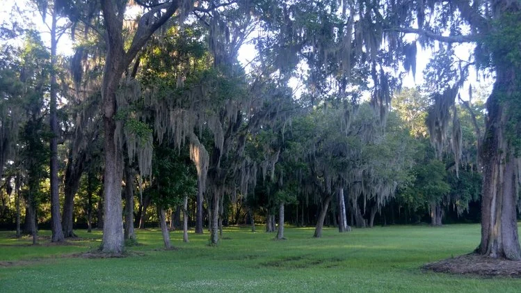 Sheldon Farms - Wadmalaw Island, SC