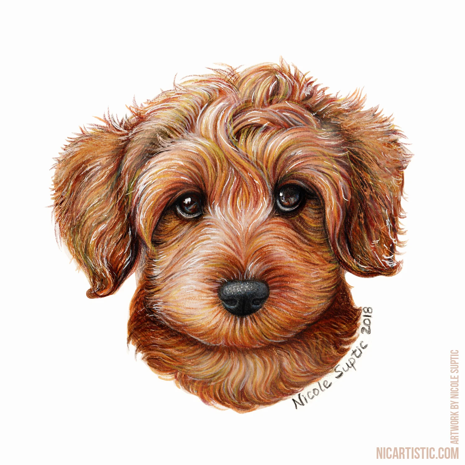 Dog Drawing Color