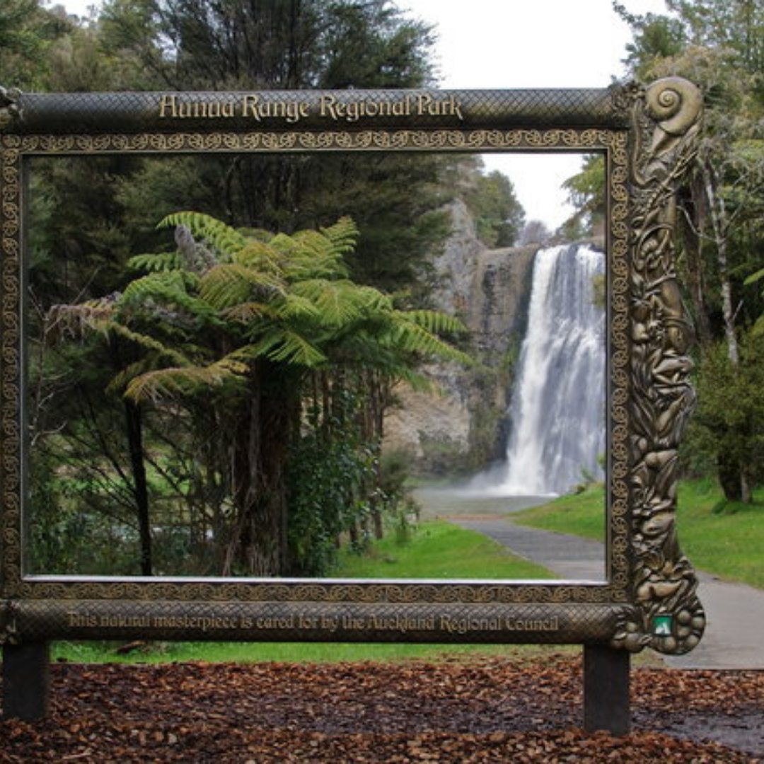 Explore the Area - Castaways Resort