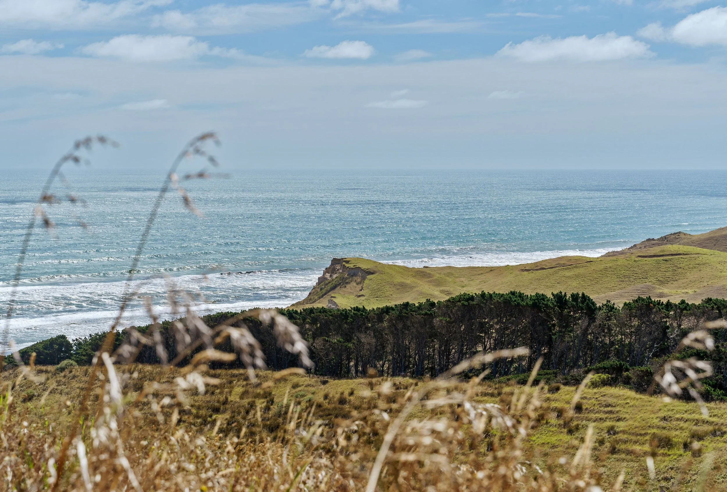 Castaways Resort - Karioitahi Beach, Auckland
