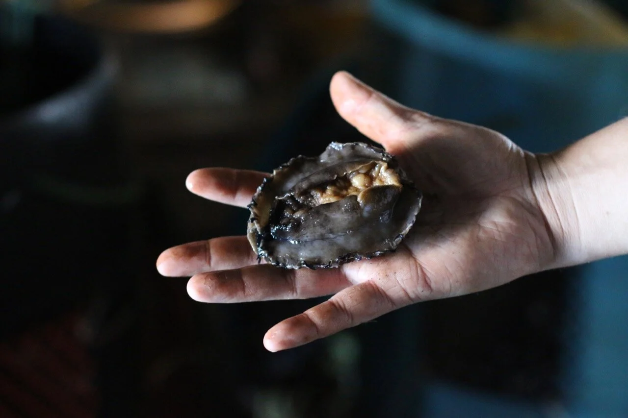 Store — Monterey Abalone Company