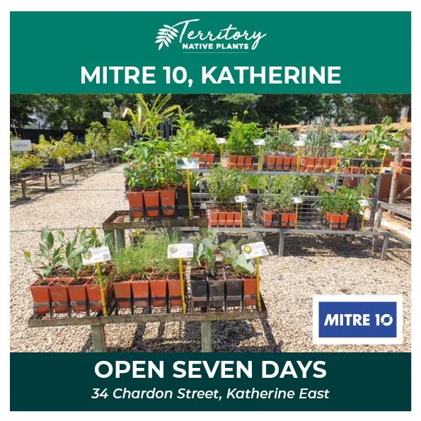 Edible Fruits — Territory Native Plants