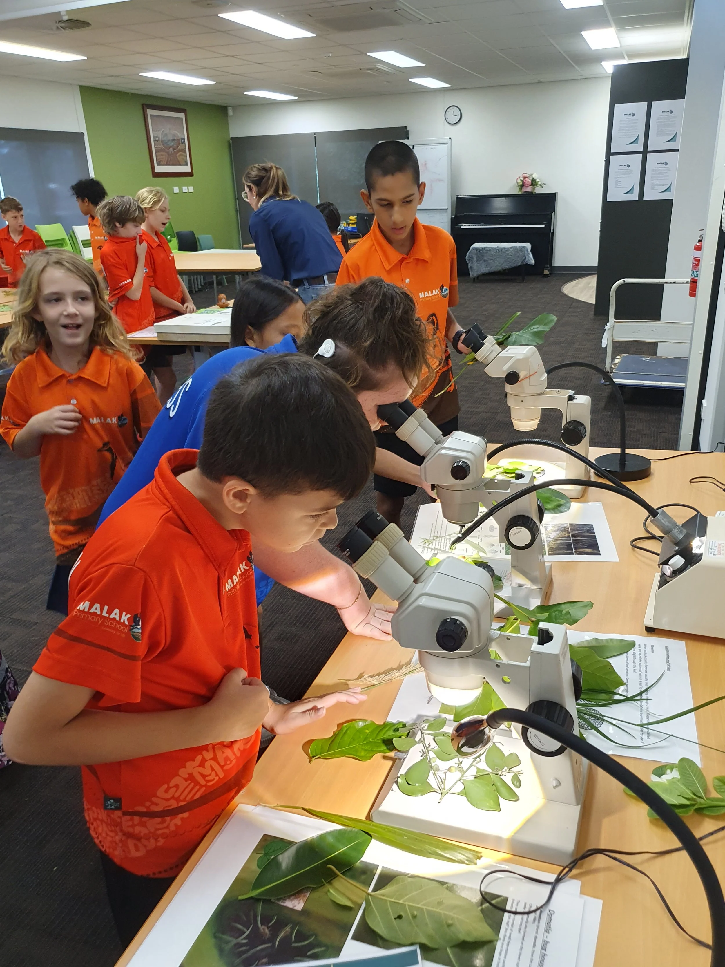 Territory Native Plant Education — Territory Native Plants