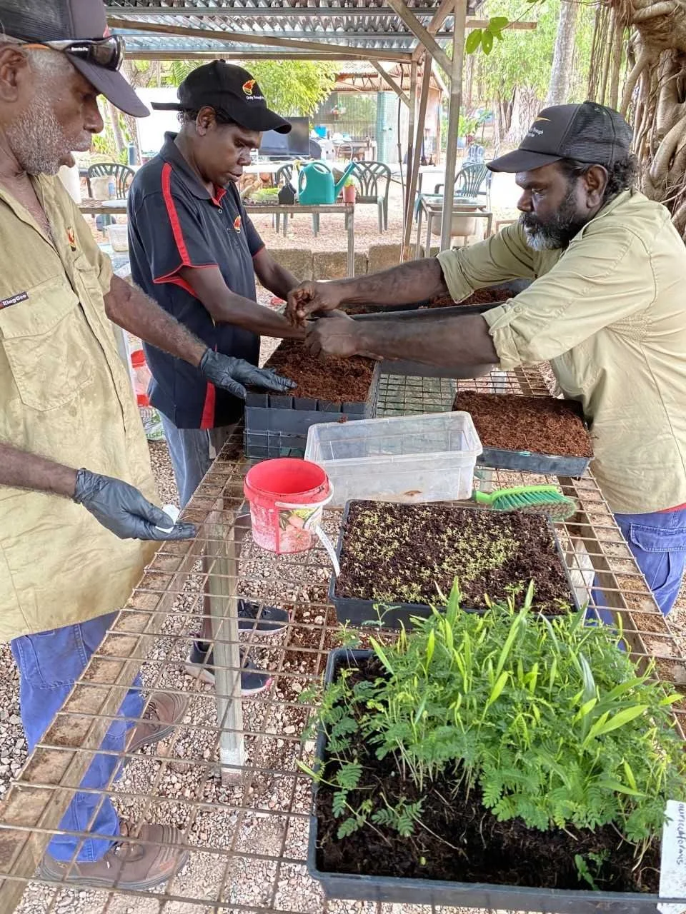 Local training by local specialists — Territory Native Plants
