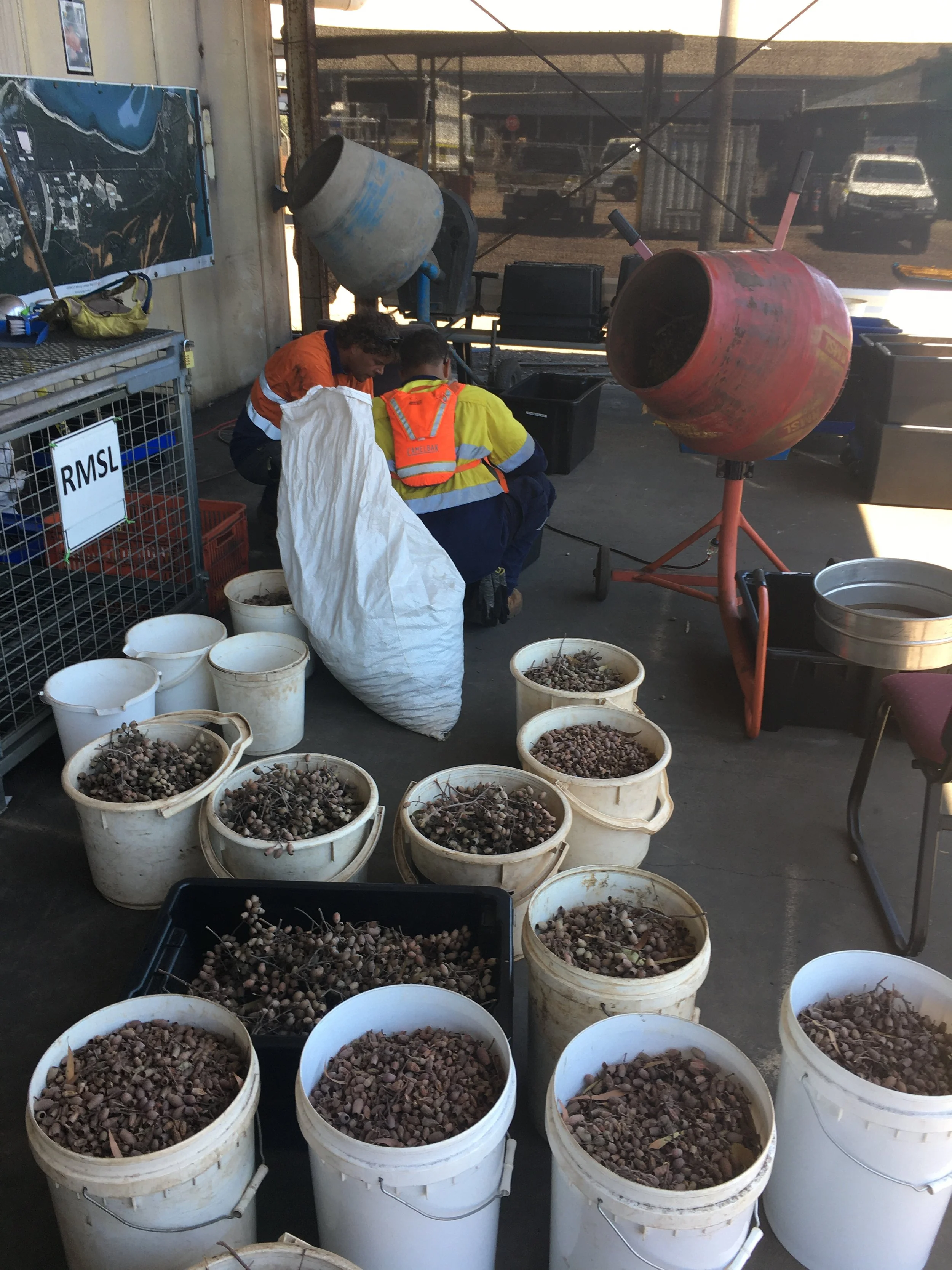 Local training by local specialists — Territory Native Plants