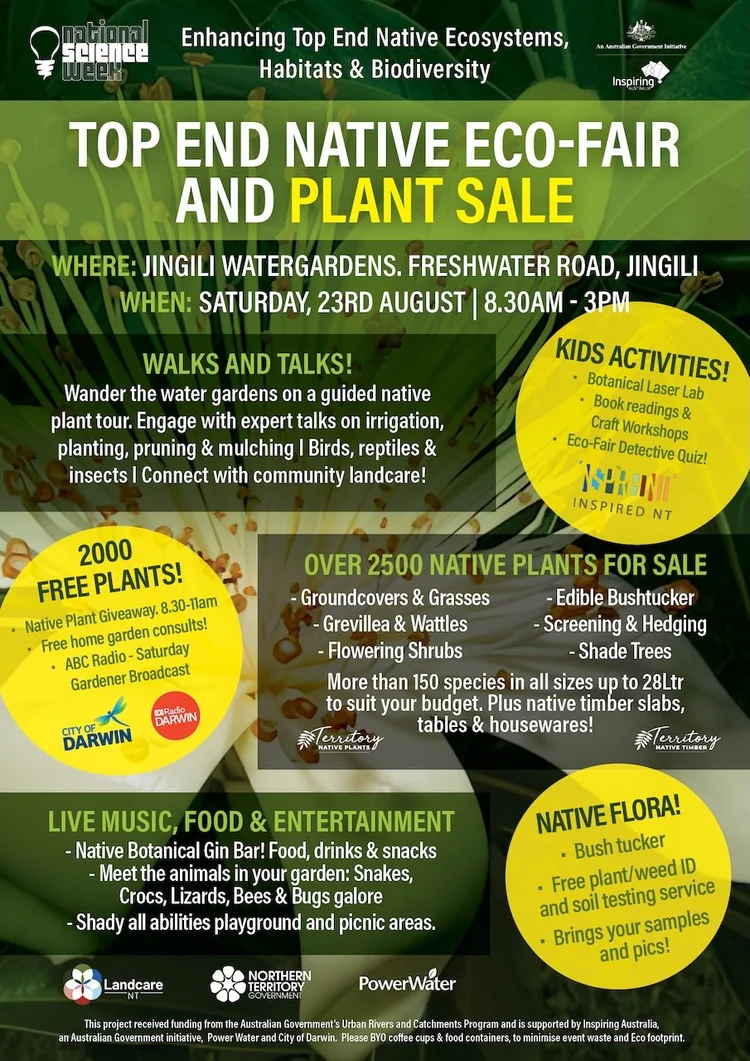 Hakea lorea (Corkwood) — Territory Native Plants