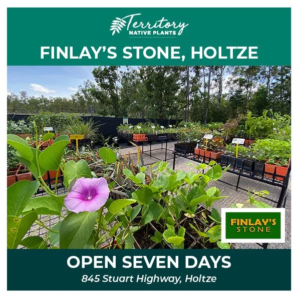 Edible Fruits — Territory Native Plants