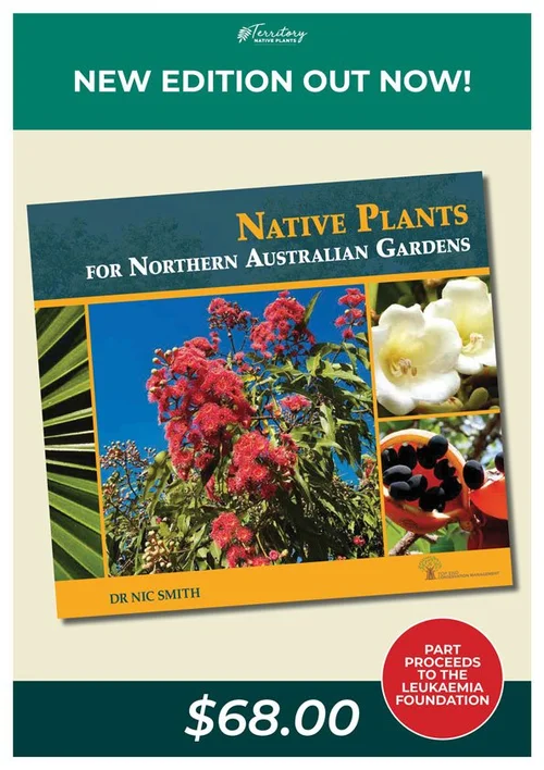 Vitex rotundifolia (Beach Vitex) — Territory Native Plants