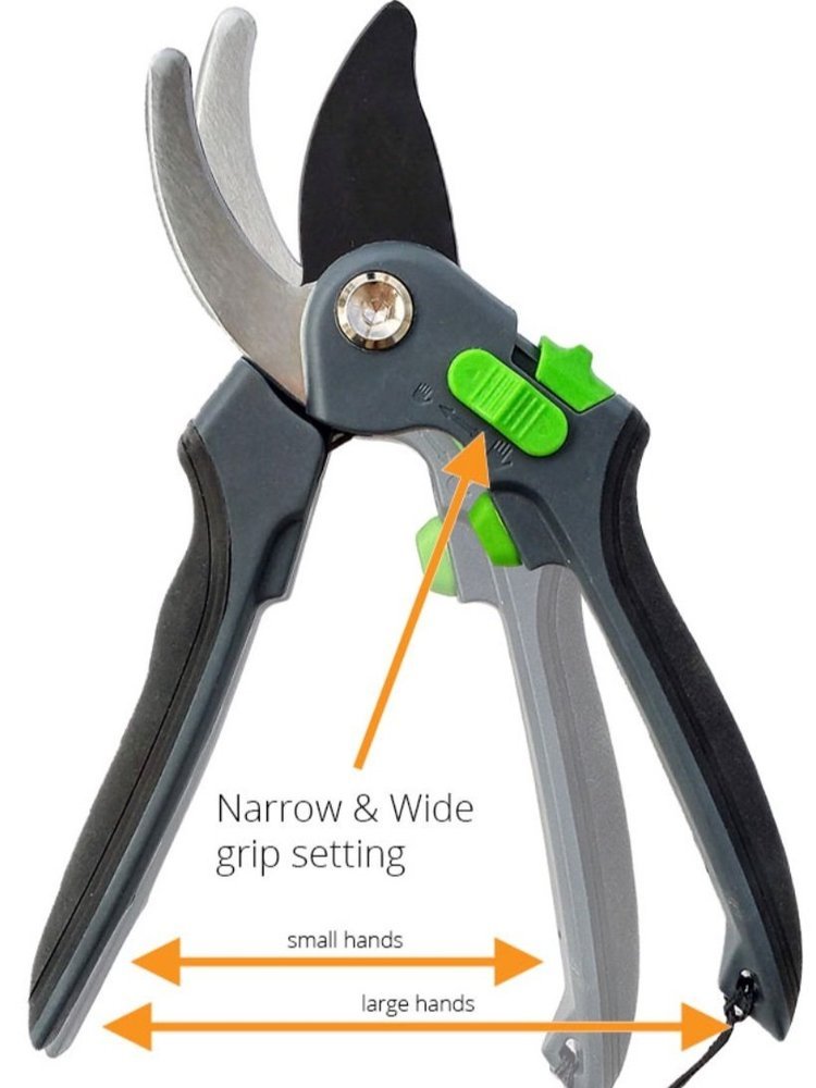 Native Plants Price and Size — Territory Native Plants