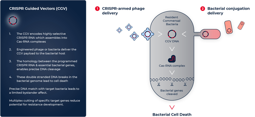 SNIPR BIOME — Our Approach and Technology