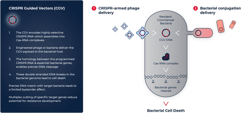 SNIPR BIOME — Our Approach and Technology
