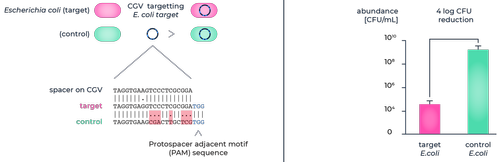SNIPR BIOME — Our Approach and Technology