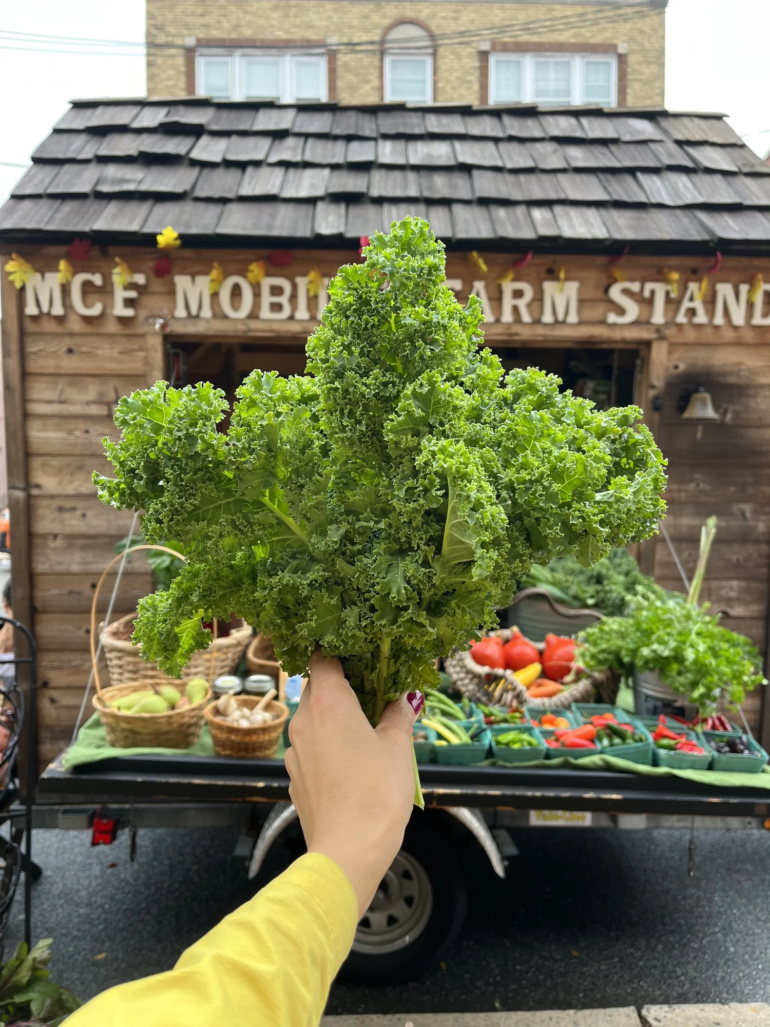 History and Mission — Montclair Community Farms