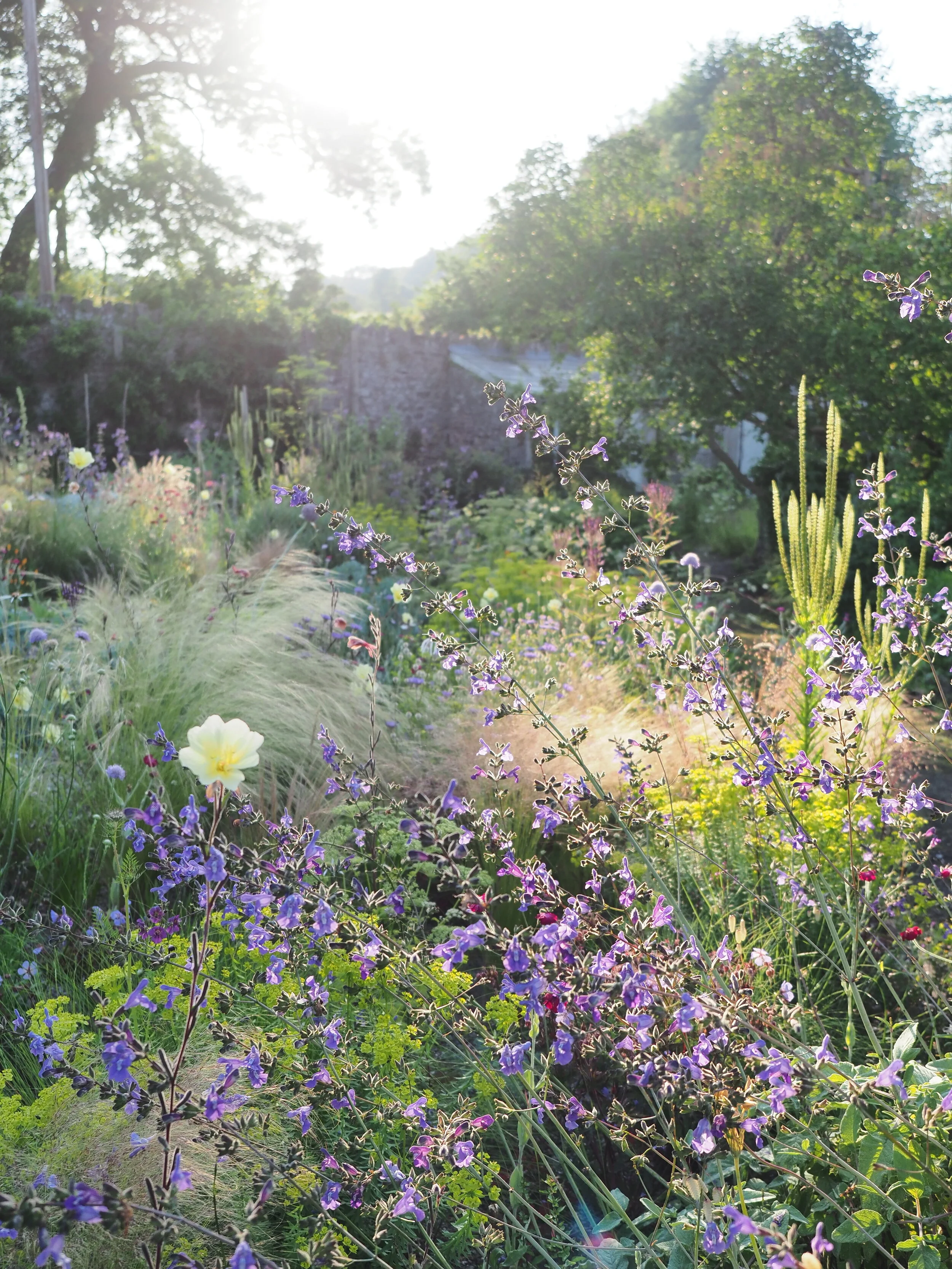 News — Sarah Price Landscapes