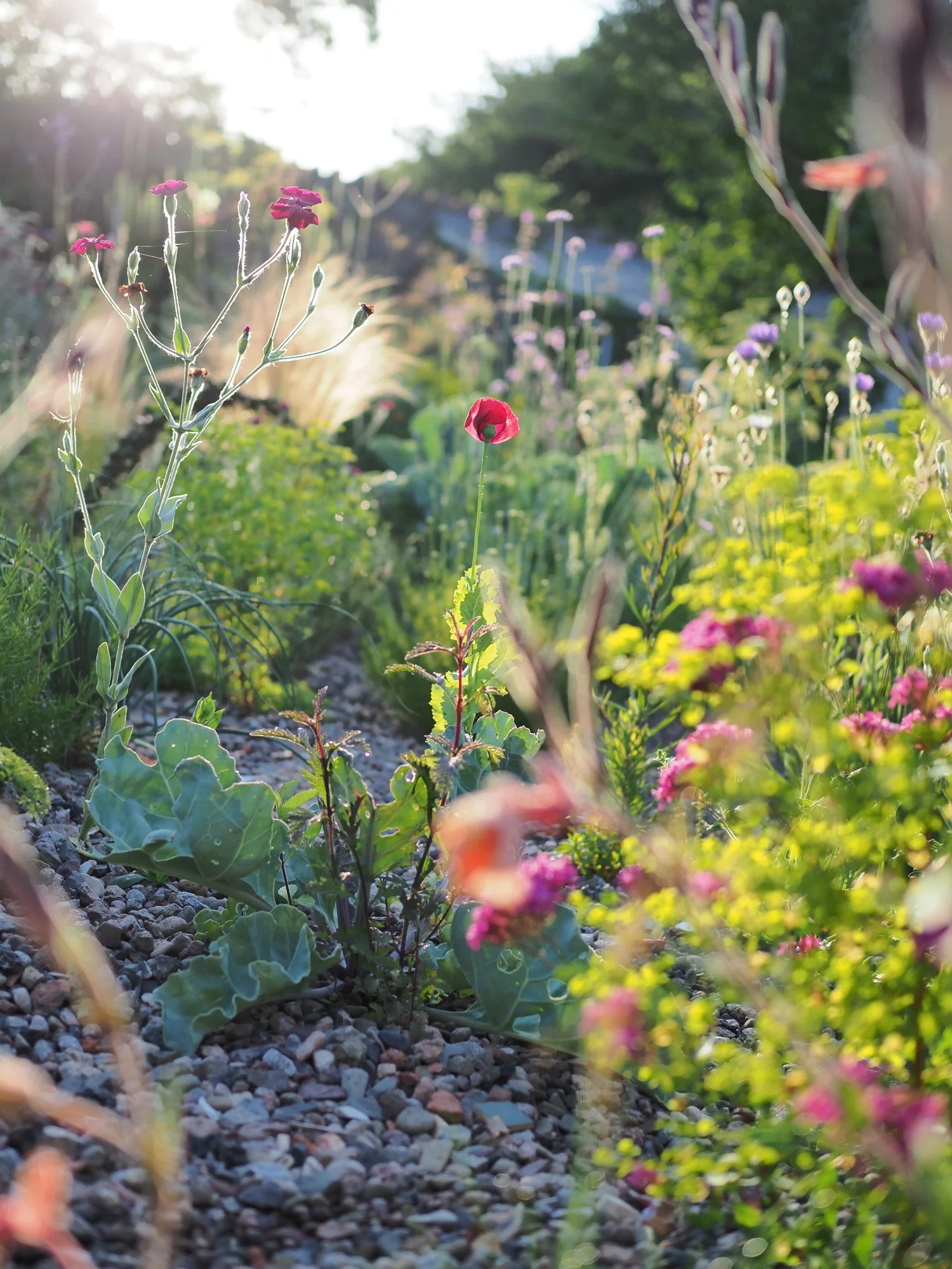 News — Sarah Price Landscapes