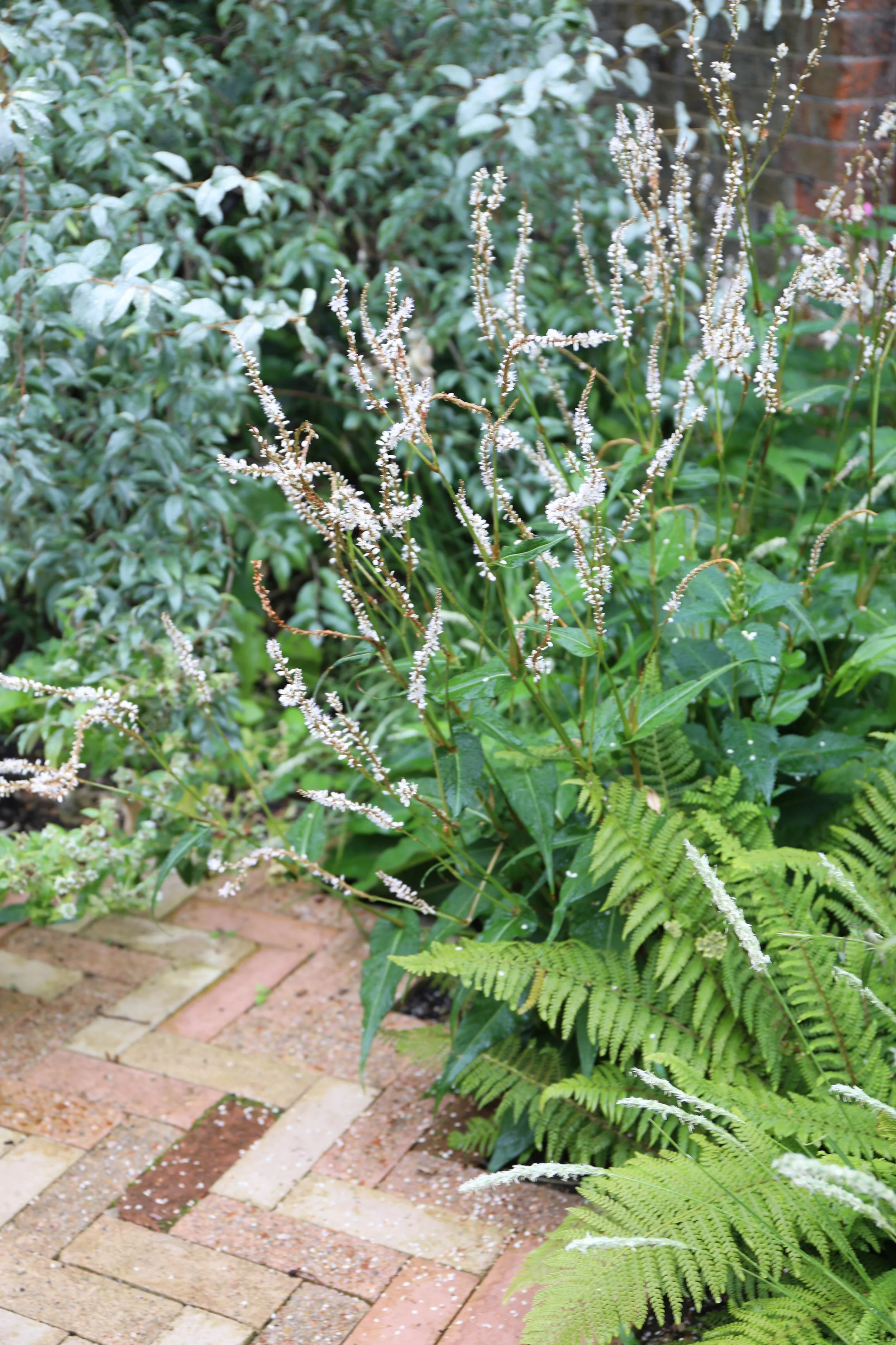 Public - The Exchange - Erith — Sarah Price Landscapes