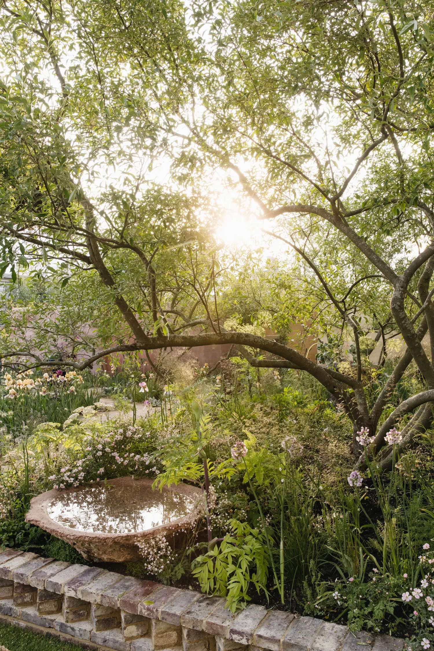 Show Gardens - RHS Chelsea 2023 — Sarah Price Landscapes
