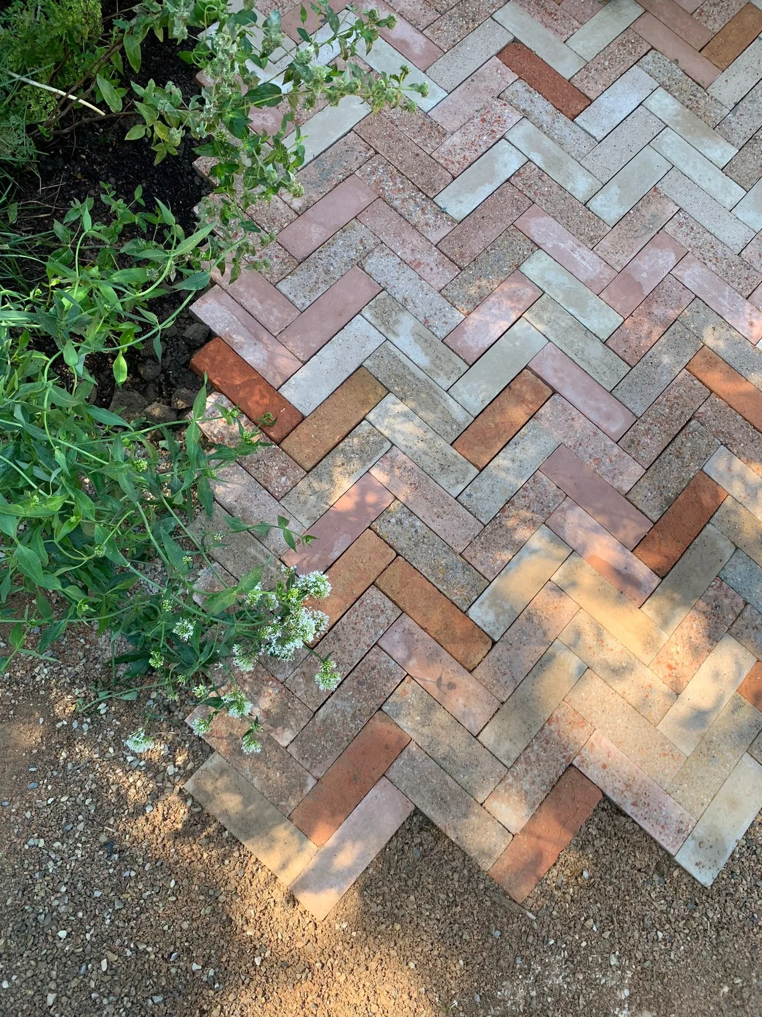 Public - The Exchange - Erith — Sarah Price Landscapes