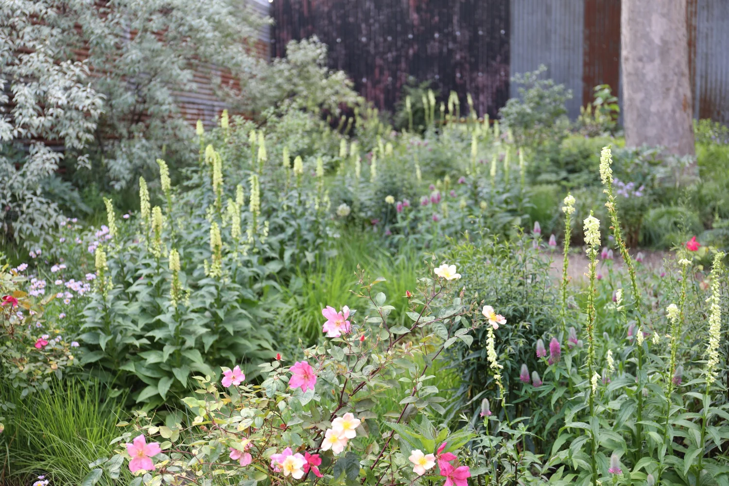 Public — Sarah Price Landscapes