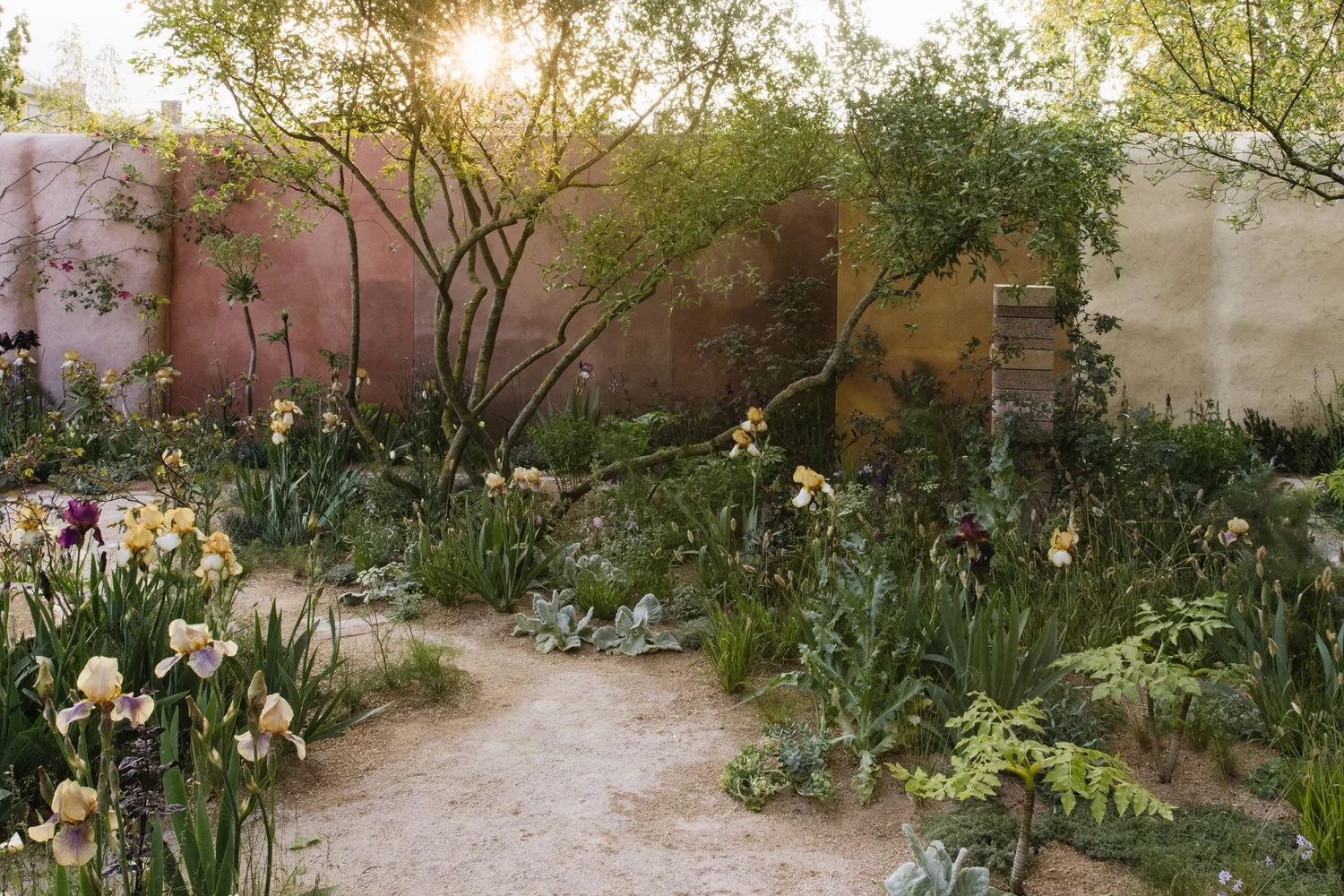 Show Gardens - RHS Chelsea 2023 — Sarah Price Landscapes