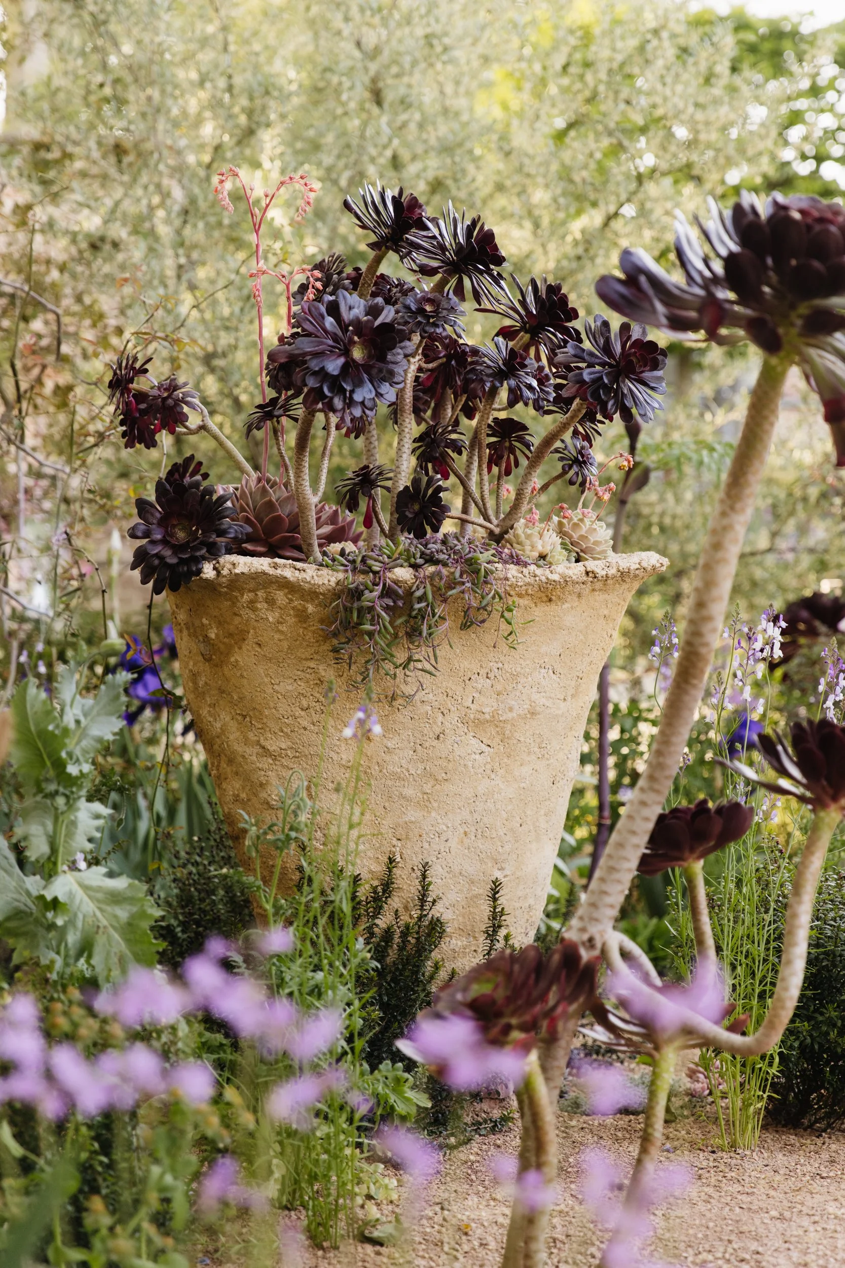 Show Gardens - RHS Chelsea 2023 — Sarah Price Landscapes