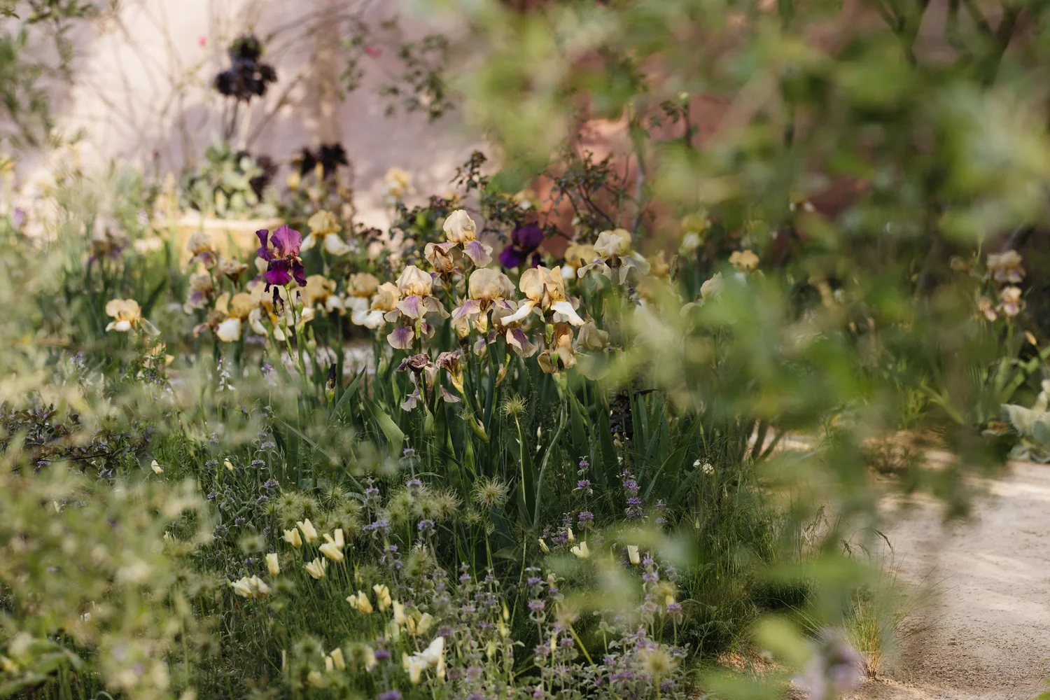 Show Gardens — Sarah Price Landscapes