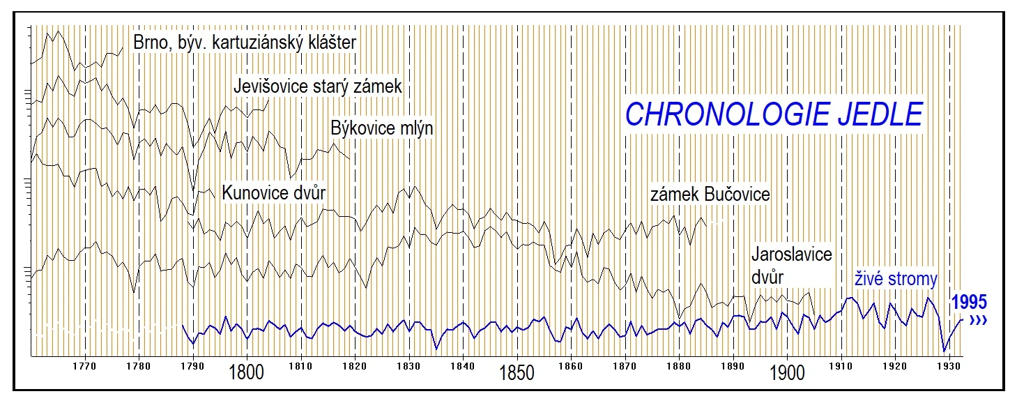 historie — DendroLab Brno