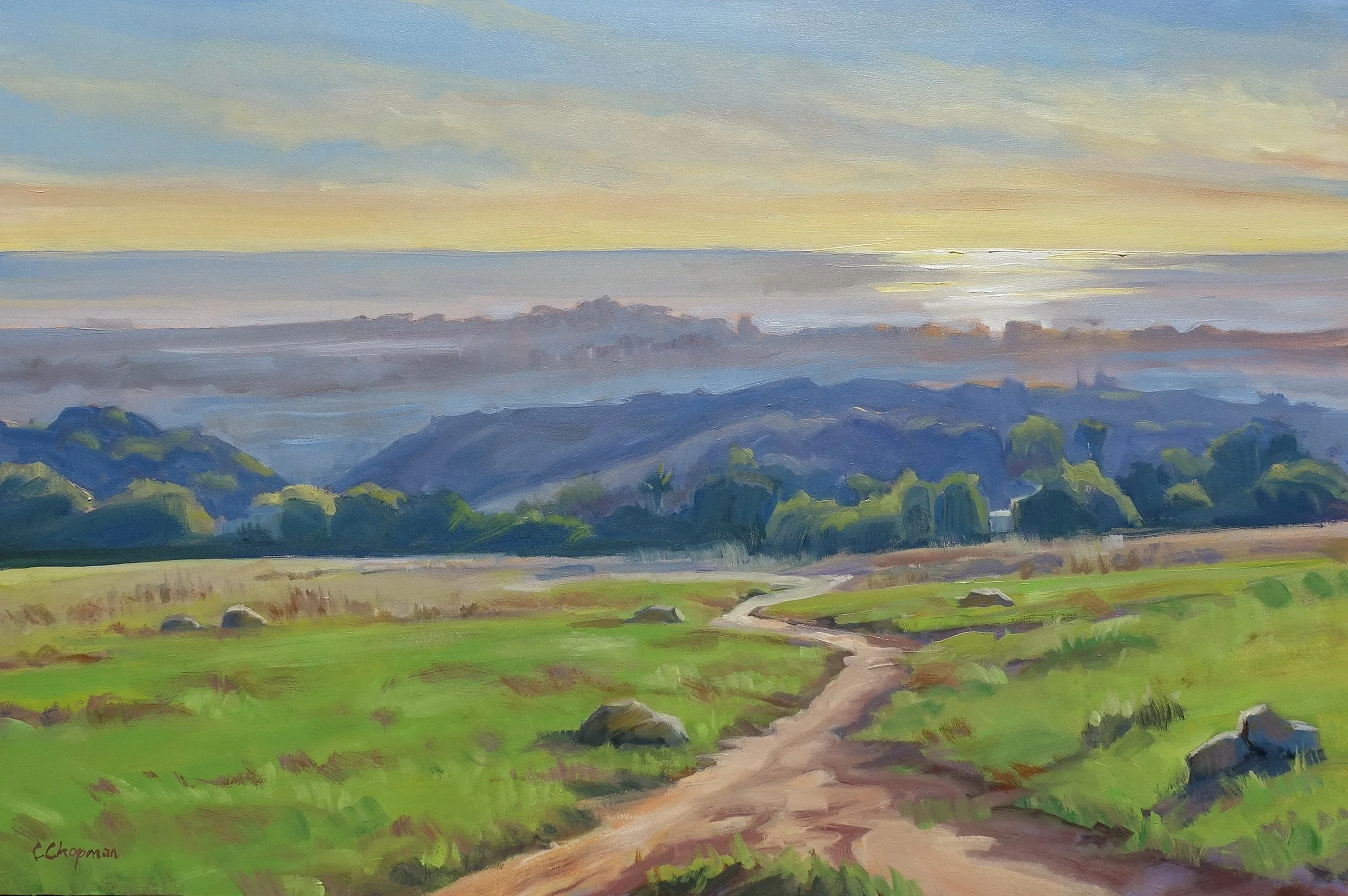 Chris Chapman — Oak Group