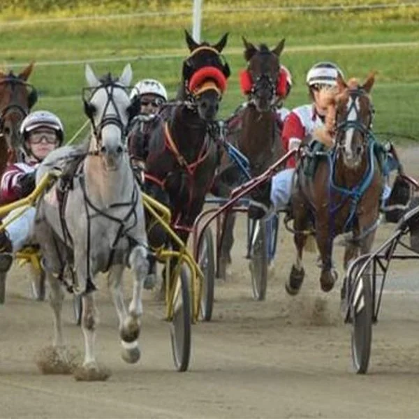 Things To Do — Visit Nappanee