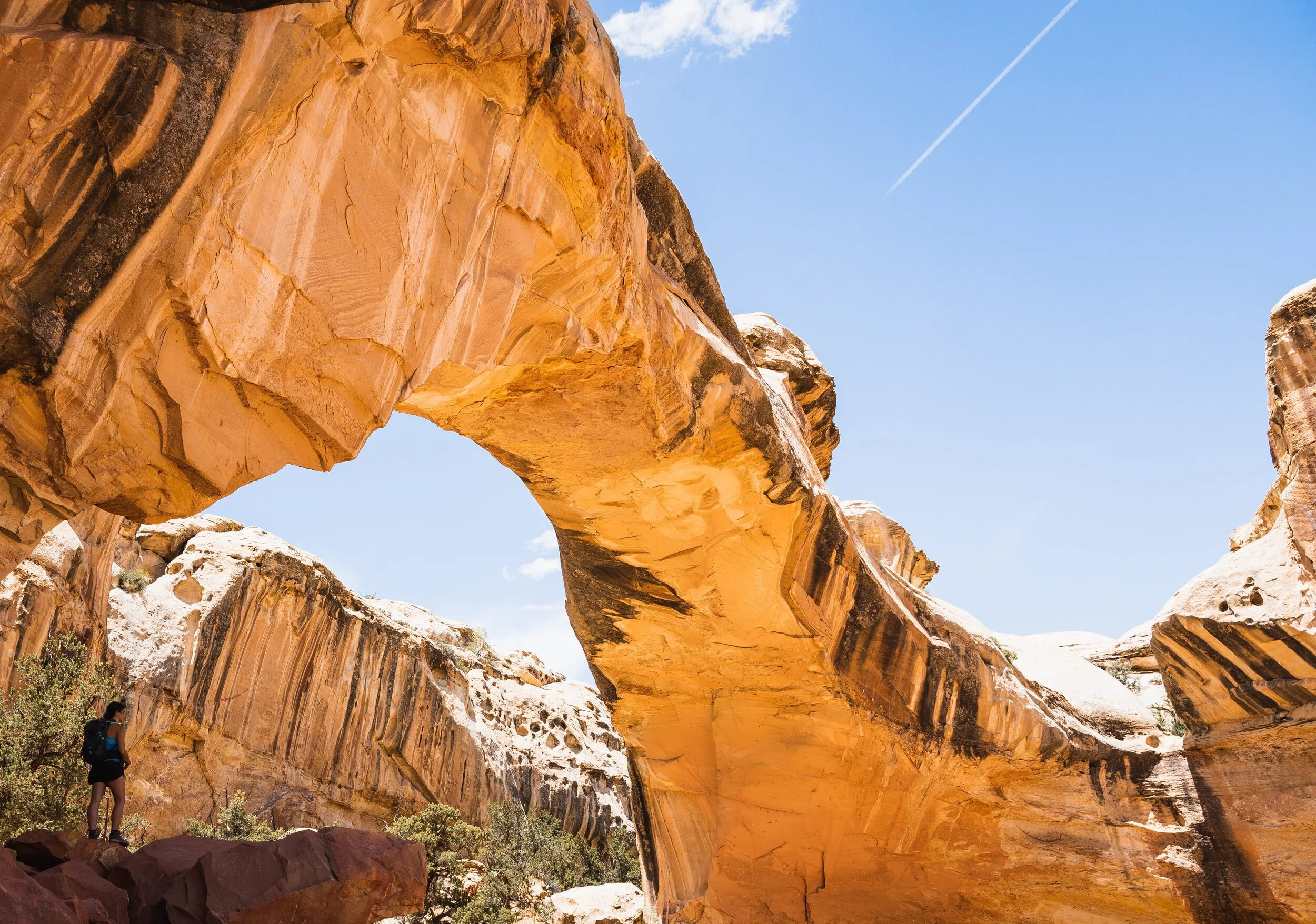 The 13 Best Hikes in Southern Utah — Nichole the Nomad