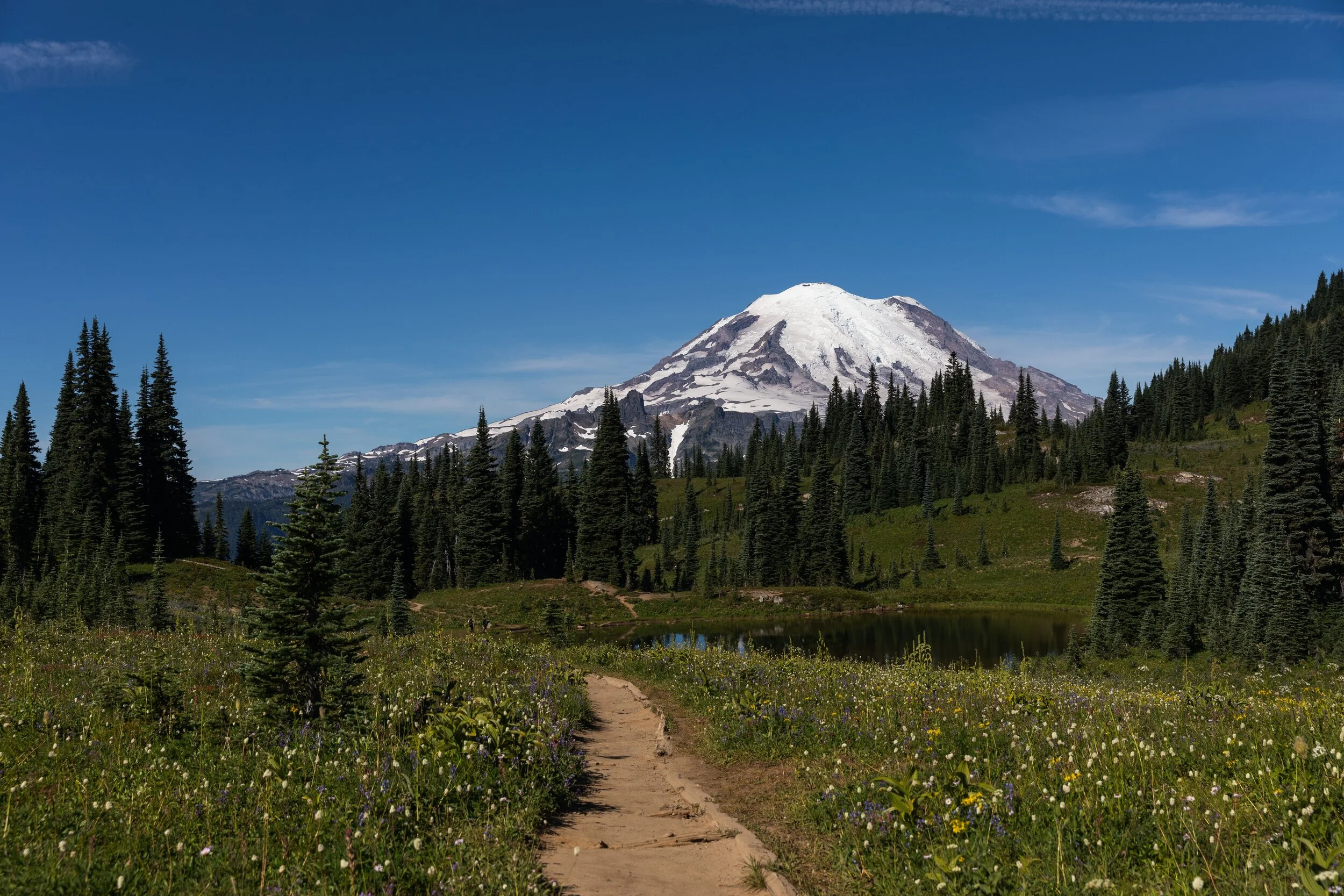 The 18 Best Hikes in Washington — Nichole the Nomad